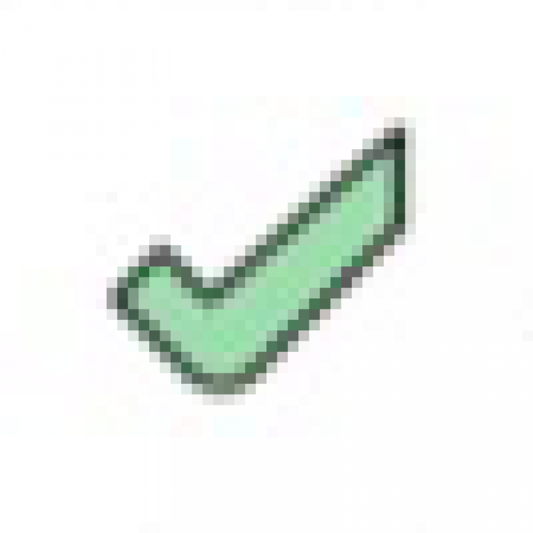 DMIS Solution - Netspeed Software Inc.